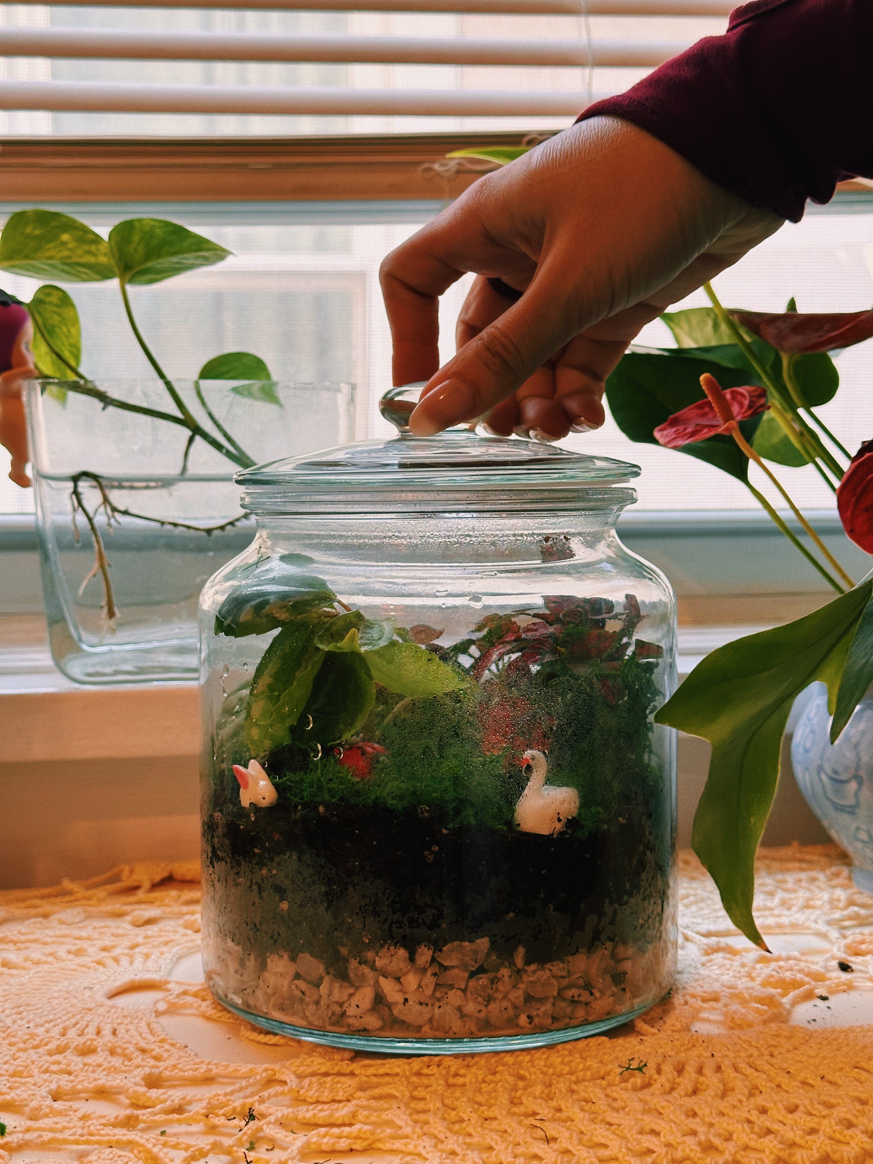 DIY Terrarium Home Kit | Terrace Plant Shop